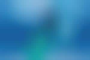 Electric Tonal Technical Sportswear : Technical Sportswear