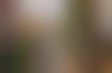 Expanding Leaflet Coffee Tables : modular coffee table