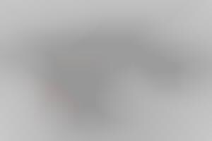 Adaptable Biomimicry Drones : Hornet Drone