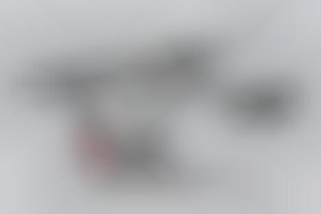 Adaptable Biomimicry Drones : Hornet Drone