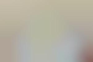 Ugly Avocado Desserts : Avocado Desserts