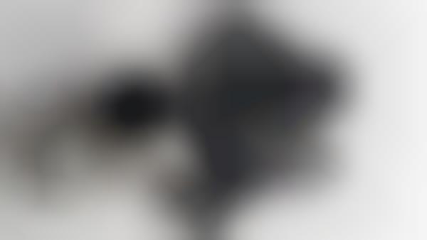 Palm-Sized Astronomy Cameras : TinyMOS NANO1