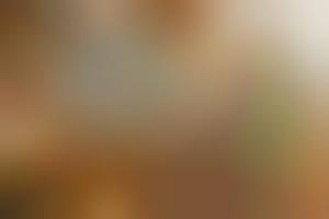 Digital Display Food Servers : EATENSE plate