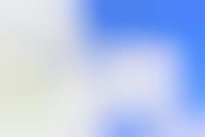 Business Review-Monitoring Platforms : Reputation Desk