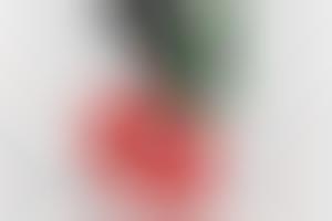 Active Lifestyle Hard Drives : Stripe hard drive