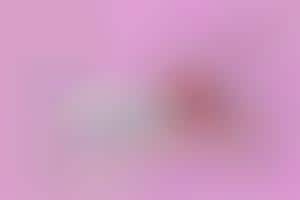 Collaboration Cartoon Chocolate Lines : Hershey's x Hello Kitty