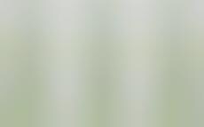 Premium Non-Alcoholic Libations : Peroni Libera 0.0%