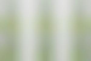 Premium Non-Alcoholic Libations : Peroni Libera 0.0%