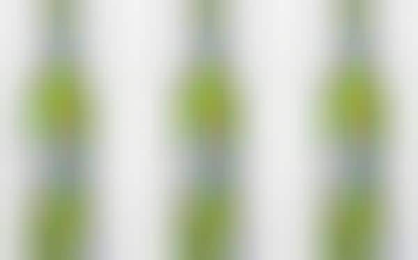 Premium Non-Alcoholic Libations : Peroni Libera 0.0%