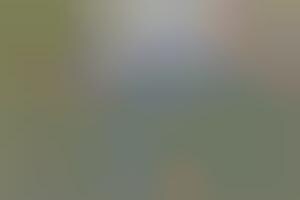 Inflight Food Cookbooks : inflight food