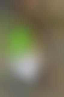 Snack-Sharing Robots : snackbots