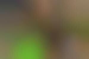 Snack-Sharing Robots : snackbots