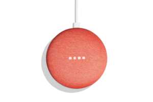 Coral-Celebrating Smart Devices : Coral Google Home Mini
