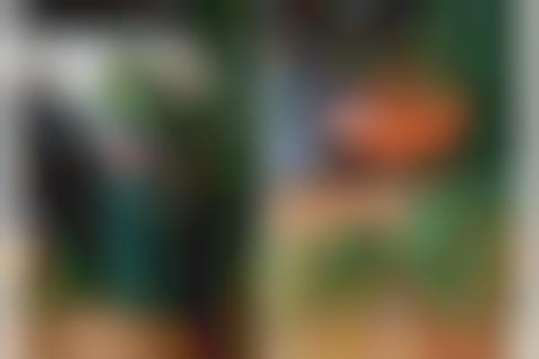 Circus-Inspired Cocktails : Circus Inspired Cocktails