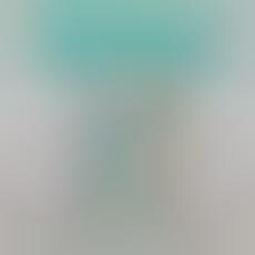 Paleo-Friendly Bagels : the pagel