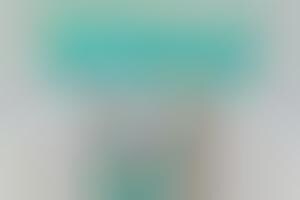 Paleo-Friendly Bagels : the pagel