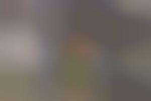 Whole Food Diet Cafes : clean slate cafe