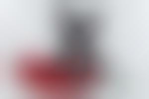 Dog-Targeted CBD Supplements : zenpup