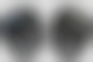 Robust Multi-Lifestyle Smartwatches : TicWatch E2 and S2