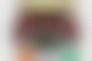 Probiotic-Packed Olives : organic olive