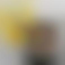 Preserved Lemon Kits : Preserved Lemon