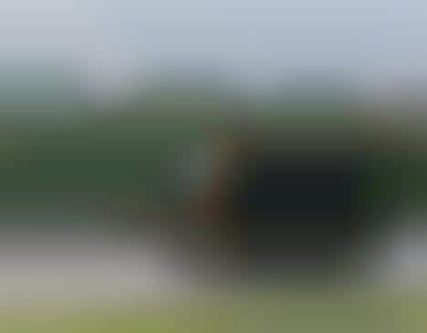 Autonomous Delivery Robot Systems : Continental Urban Mobility Experience