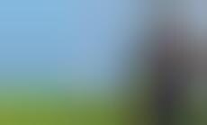 Helpful Video Assistant Referees : video assistant referee