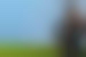 Helpful Video Assistant Referees : video assistant referee