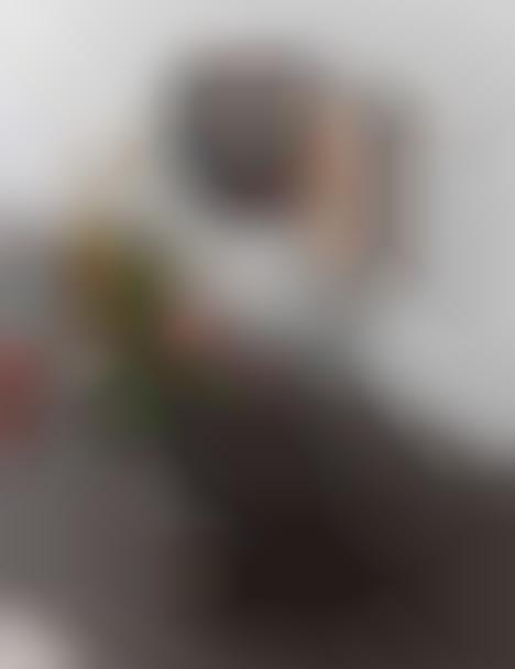 Counter Space-Saving Cookers : Ordine cooking hub