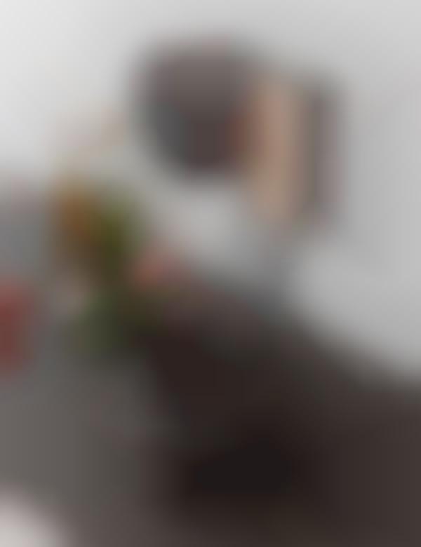 Counter Space-Saving Cookers : Ordine cooking hub