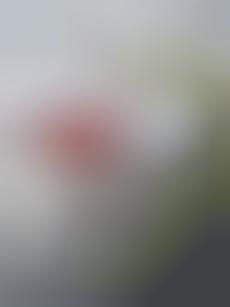 DIY Multi-Layered Coffee Tables : multi-layered coffee table