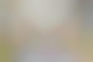 Educational Translucent Buildings : translucent building