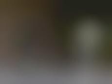 Plug-In Automotive Assistants : car assistant