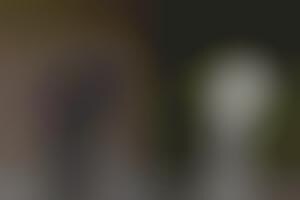 Plug-In Automotive Assistants : car assistant