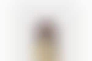 Non-Alcoholic Social Tonics : social tonic