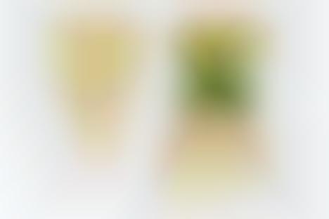 Transforming Flower Bouquet Packaging : BouquetPOT