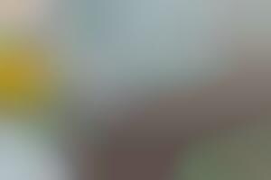 Educational Autonomous Vehicle Toys : Self-driving car kit