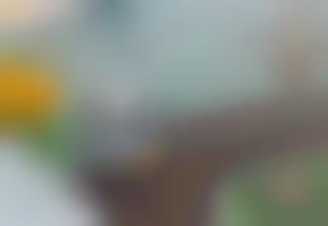 Educational Autonomous Vehicle Toys : Self-driving car kit