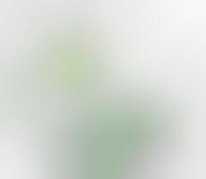 Cooling CBD Chewing Gums : cannabis gum