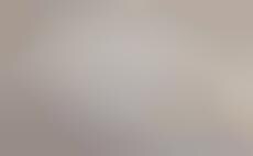 Sculpturally Naturalistic Reception Desks : Drevva Reception Desk