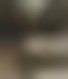 Luxurious Supercar Driving Boots : Roadster Driving Boot