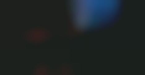 Artful Interactive Dinners : Interactive Dinner