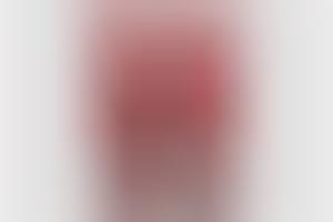 Adorably Pink Collectible Figures : Blush Companion