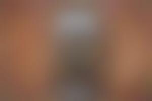 Tree Lover Dating Apps : Timber App