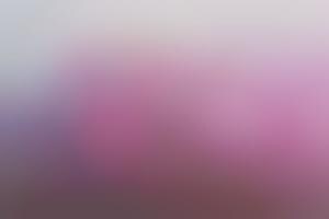 Colorful Transparent Home Installations : transparent home