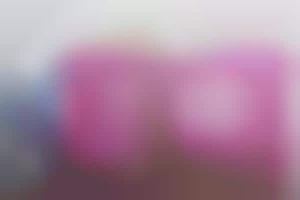 Colorful Transparent Home Installations : transparent home