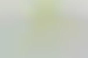 Blindfolded Food Bars : blind tasting experience