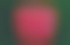 Restaurant-Quality Ranch Dressings : Twisted Ranch Dressing