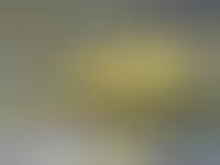 Snowplow Robot: Yuki-Taro is Even Armed GPS and Video Cameras