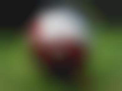 VW Bus Ball: ZZ Top Guitarist Makes Ball Art From a Real VW